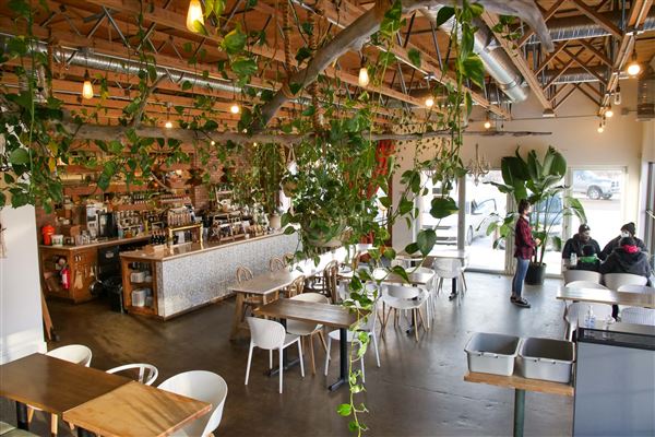 The moth cafe store