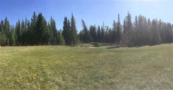 Locations Hub - CL Ranch - Landscapes