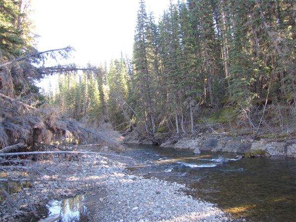 Locations Hub - CL Ranch - Landscapes