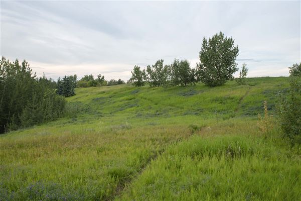 Locations Hub - Strathcona Science Provincial Park