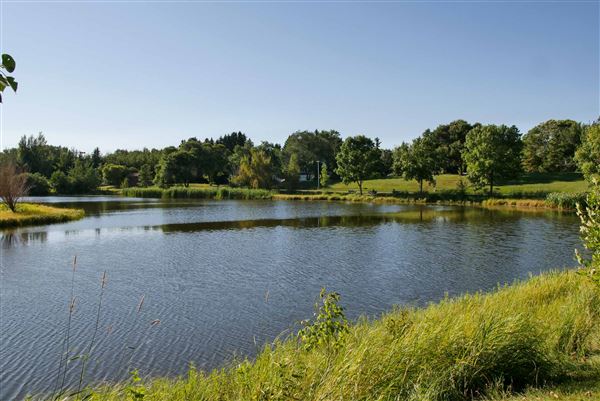 Locations Hub - Broadmoor Lake Park